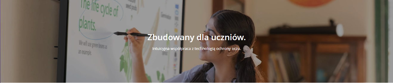 Zestaw 2x Viewsonic IFP 7532 0% VAT+ tablica interaktywna iBoard 96 ...