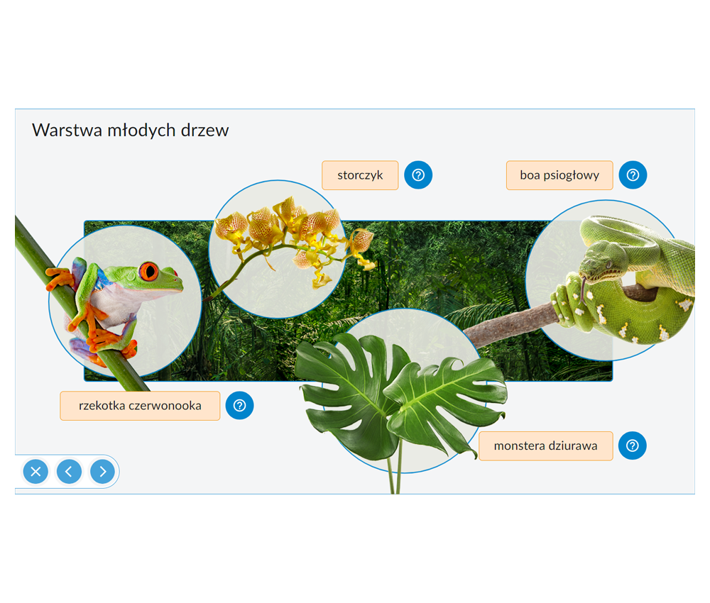 Sklep internetowy Nordweco